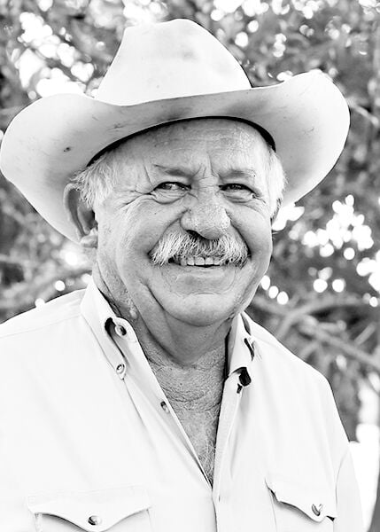 Dr. Samuel Wayne Knippa, D.V.M. | Obituaries | seguingazette.com