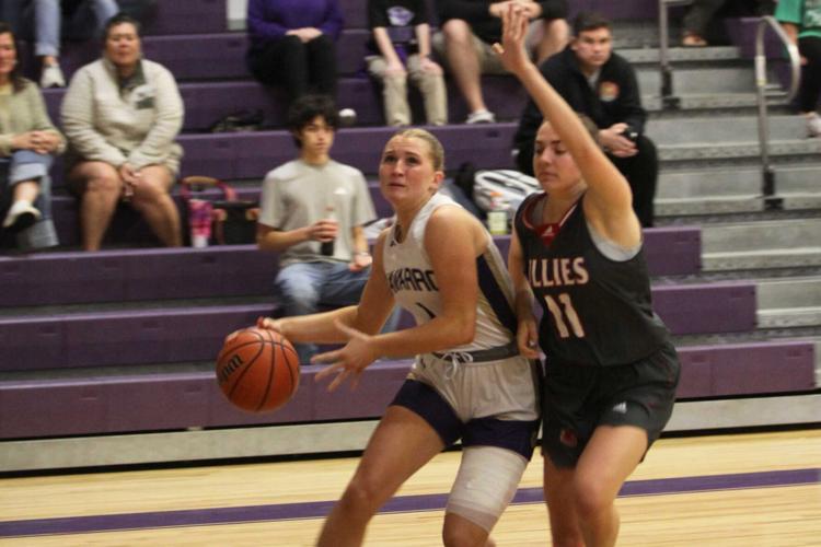 Lady Panthers fall hard to Lady Billies, 73-25 | Sports | seguingazette.com