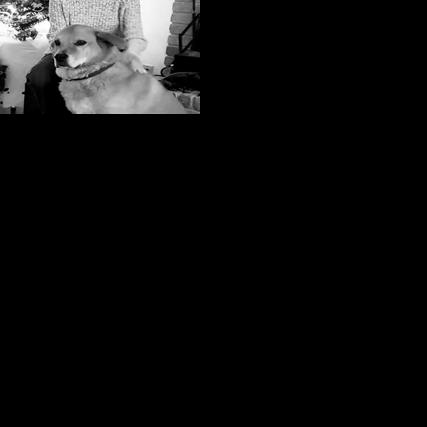 Sandra (Sandi) Ann Leibenguth Lankford | Obituaries | seguingazette.com