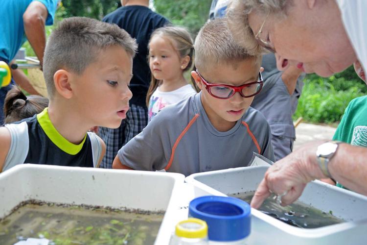 Discover the outdoors: Children learn about water creatures | News ...