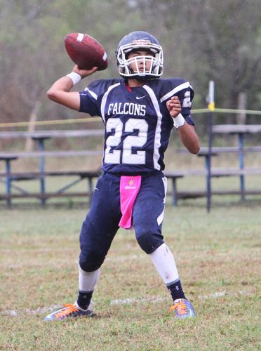 PLAYOFFS: Falcons fend off late rally by Athens | Sports ...