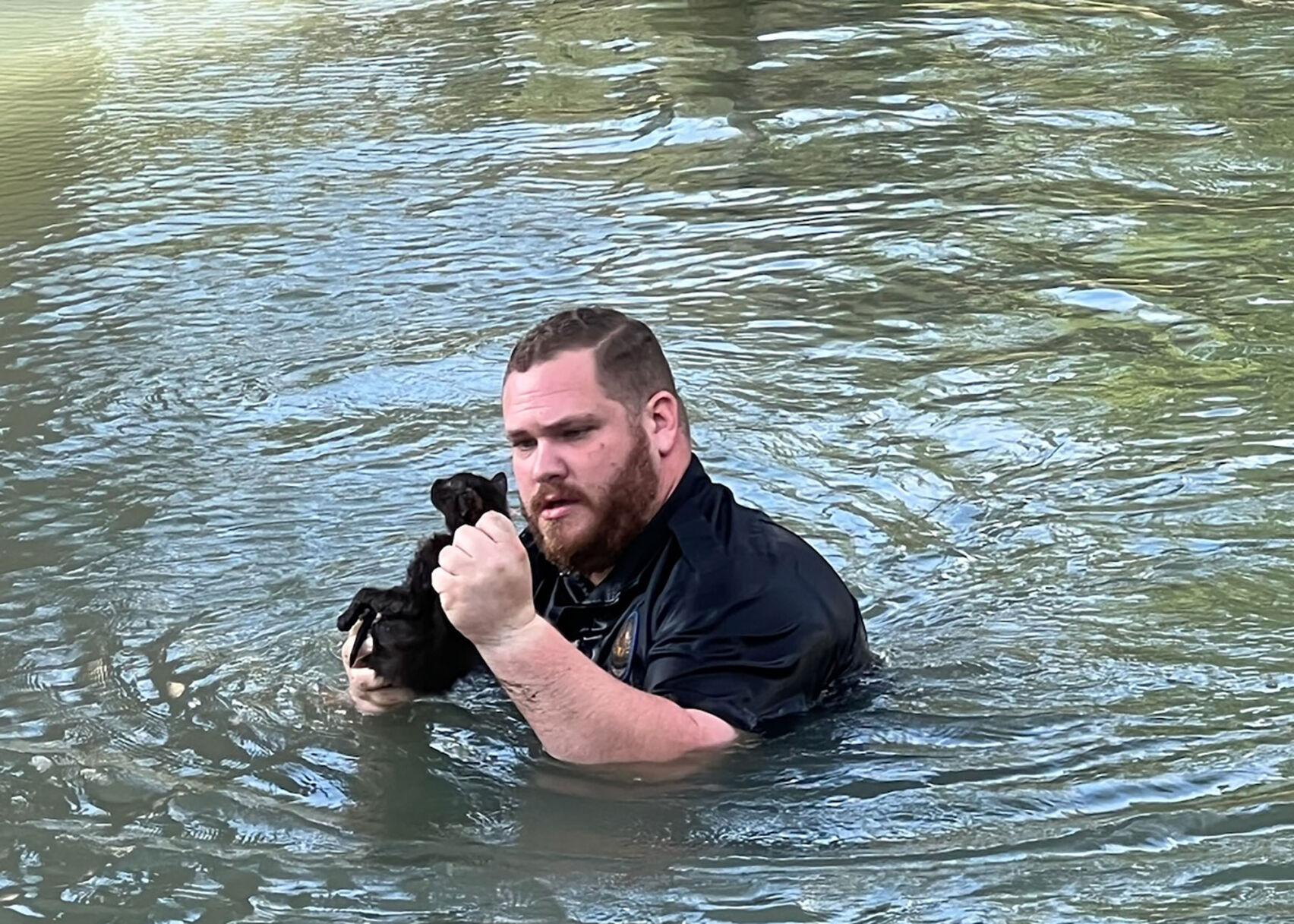 Seguin Animal Services officer rescues kitten from Guadalupe River ...