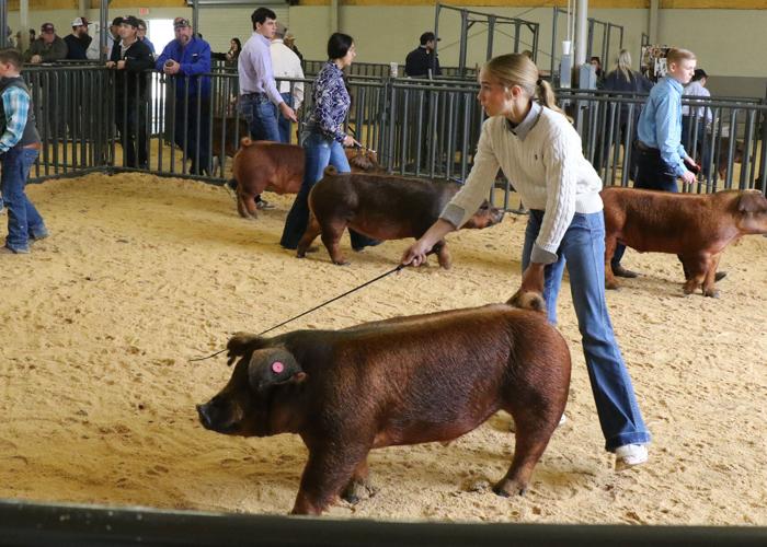 SHOWTIME: Youth display projects at Guadalupe County show | Multimedia ...