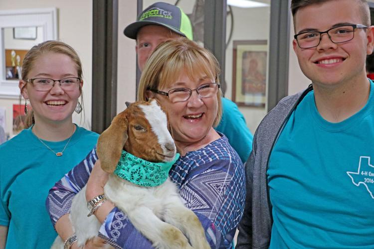 Get Your Goat fundraiser aims to help students with exchange program ...