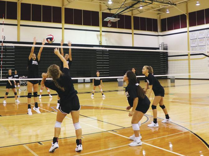 Seguin Volleyball: Lady Mats have new faces after stellar 2018 campaign ...