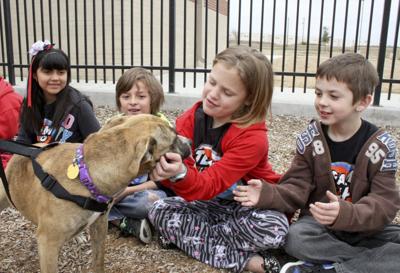 Rodriguez students make it their mission to find dog a loving home ...