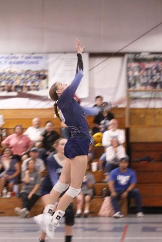 Lifegate soars to third straight win in Falcon’s Nest | Sports ...