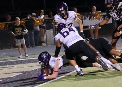 Navarro on the prowl for victory over Texans | Sports | seguingazette.com