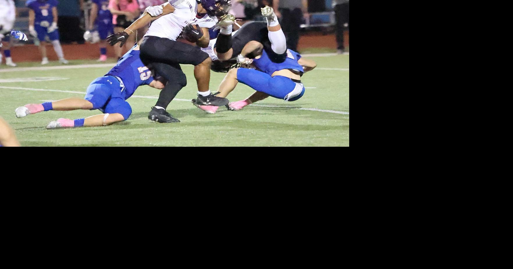 Panthers sink Vikings in 42-21 victory | Sports | seguingazette.com