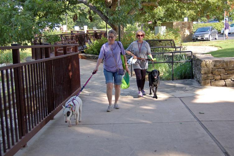 Owners mind pets’ business during Community Dog Walk | News ...