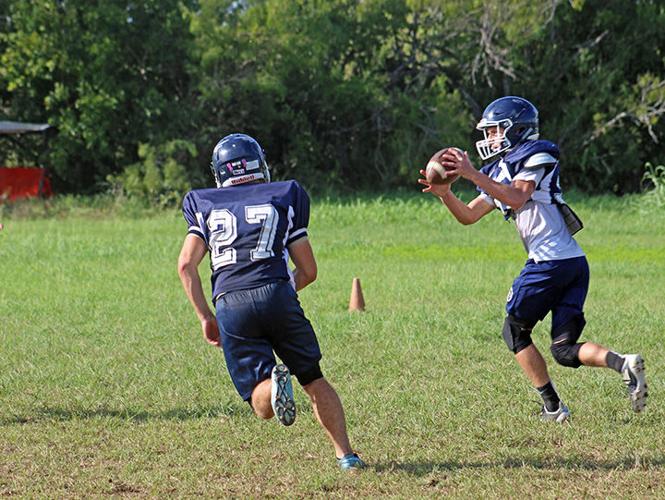 Postseason loss fueling Falcons’ flight to State | Sports ...