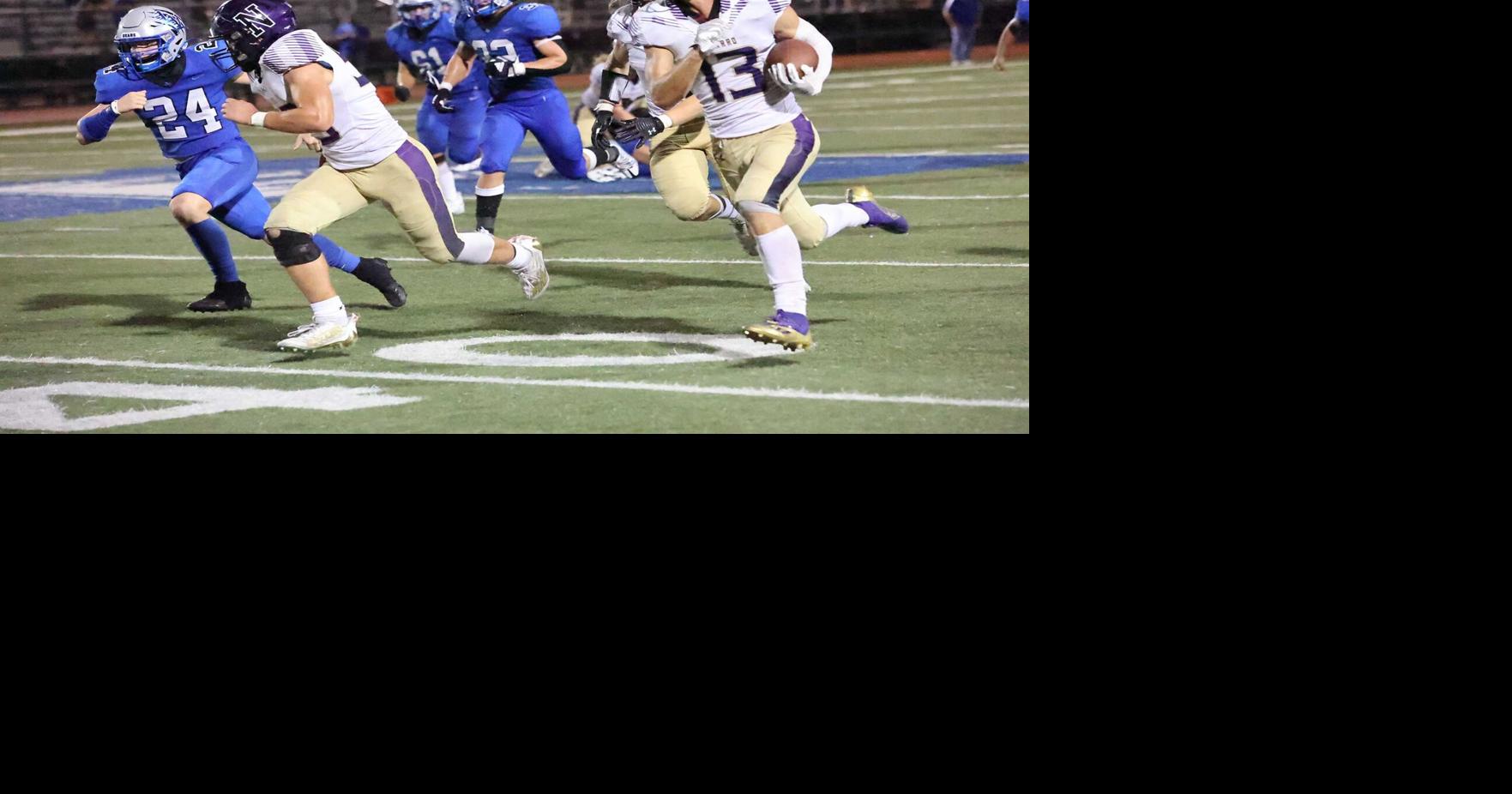 2 Panthers named to All State Team | Sports | seguingazette.com