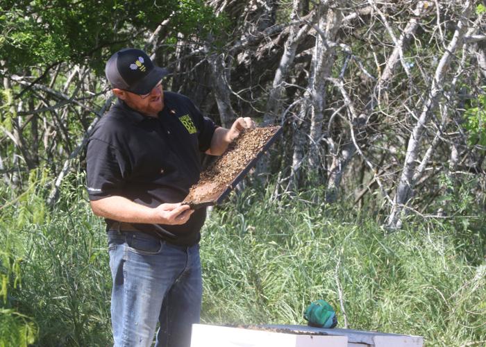 Beekeeper expands sweet business in Seguin area | News | seguingazette.com