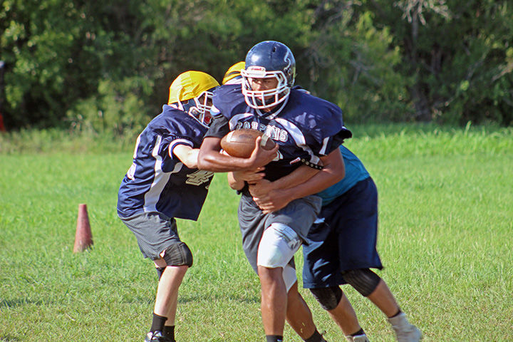 Postseason loss fueling Falcons’ flight to State | Sports ...