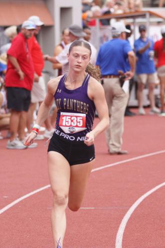 Area athletes ball out at state track | Sports | seguingazette.com