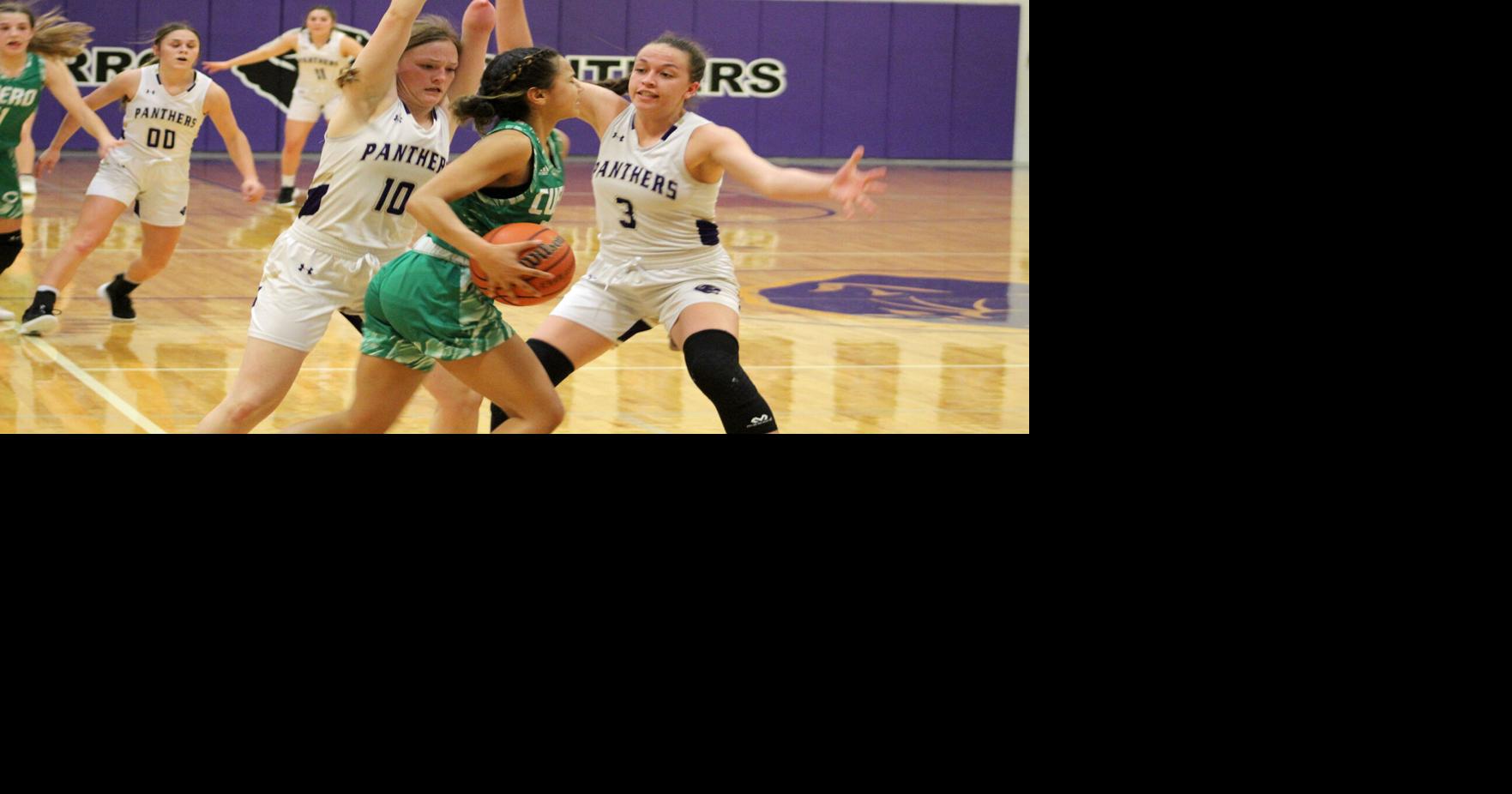 Lady Panthers route Gobblers in district finale | Sports ...