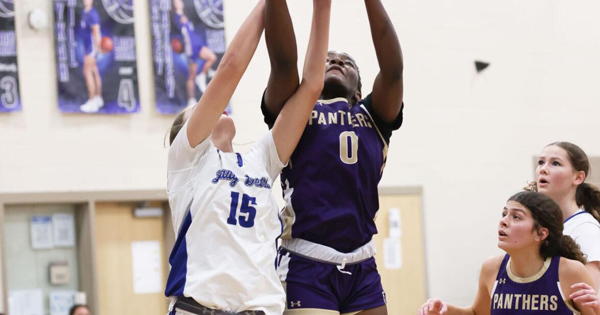 Navarro girls basketball still in playoff contention after loss to La ...