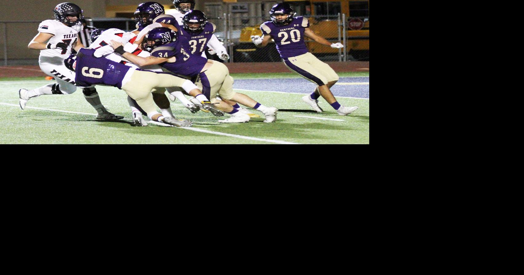 Panther comeback: Panthers overcome early deficit to beat Texans, 42-14 ...