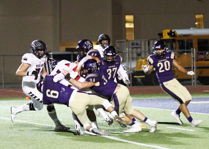 Panther comeback: Panthers overcome early deficit to beat Texans, 42-14 ...