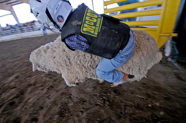 Mutton Bustin’ at Guadalupe County Fair | Multimedia | seguingazette.com