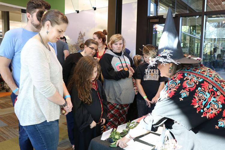 Library transforms into famous wizarding world | News | seguingazette.com