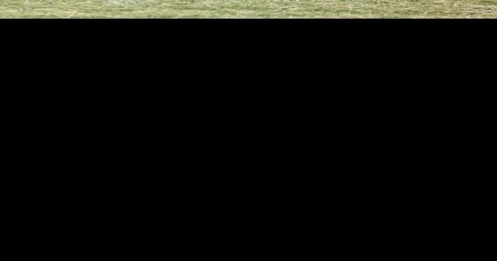 Lifegate Christian Falcons fall to New Braunfels Academy | Sports ...