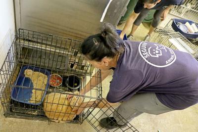 ‘We are there to support them’ | News | seguingazette.com