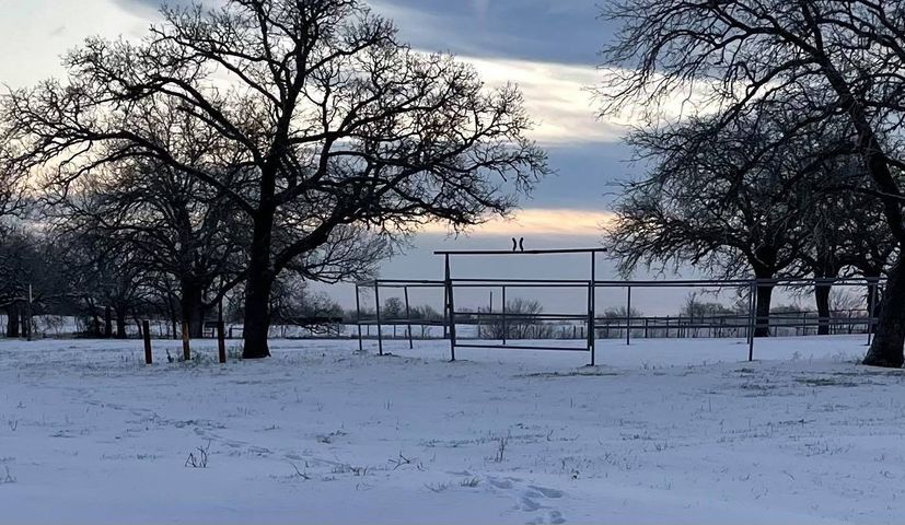 South Texas Snow Day 2021 | Alert | seguingazette.com