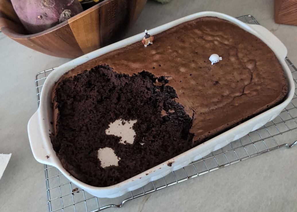 Prosapio: Canine classified: Cake taster up free to good home ...