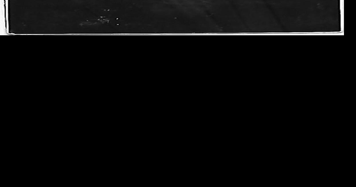 Msgr. Bill O’Callaghan | Obituaries | seguingazette.com