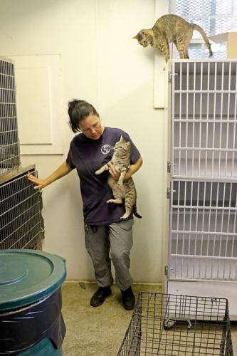 A NEW HOME: Facility being prepared for Monday opening | News ...