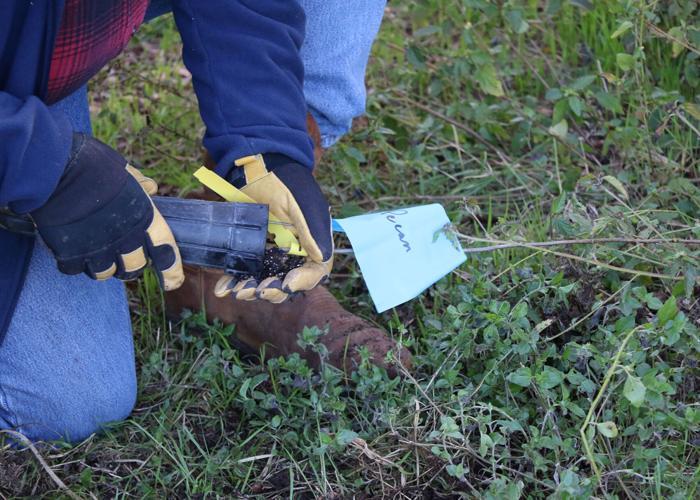 Grant helps Guadalupe Master Naturalists return park to natural state ...