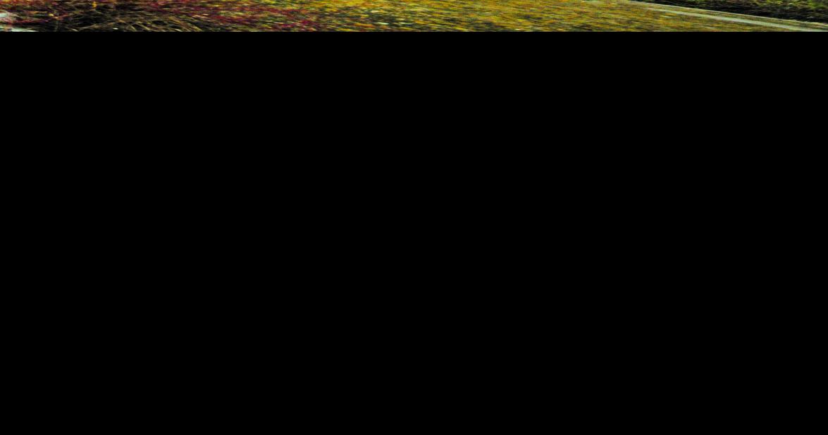 Cadets, volunteers line I-10 to greet Texas Honor Ride | News ...