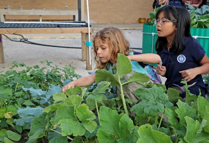 St. James students learn about gardening, native plants | News ...