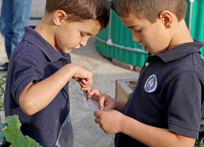 St. James students learn about gardening, native plants | News ...