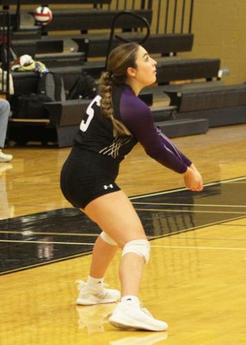 Lady Panthers sweep Lady Lions | Sports | seguingazette.com