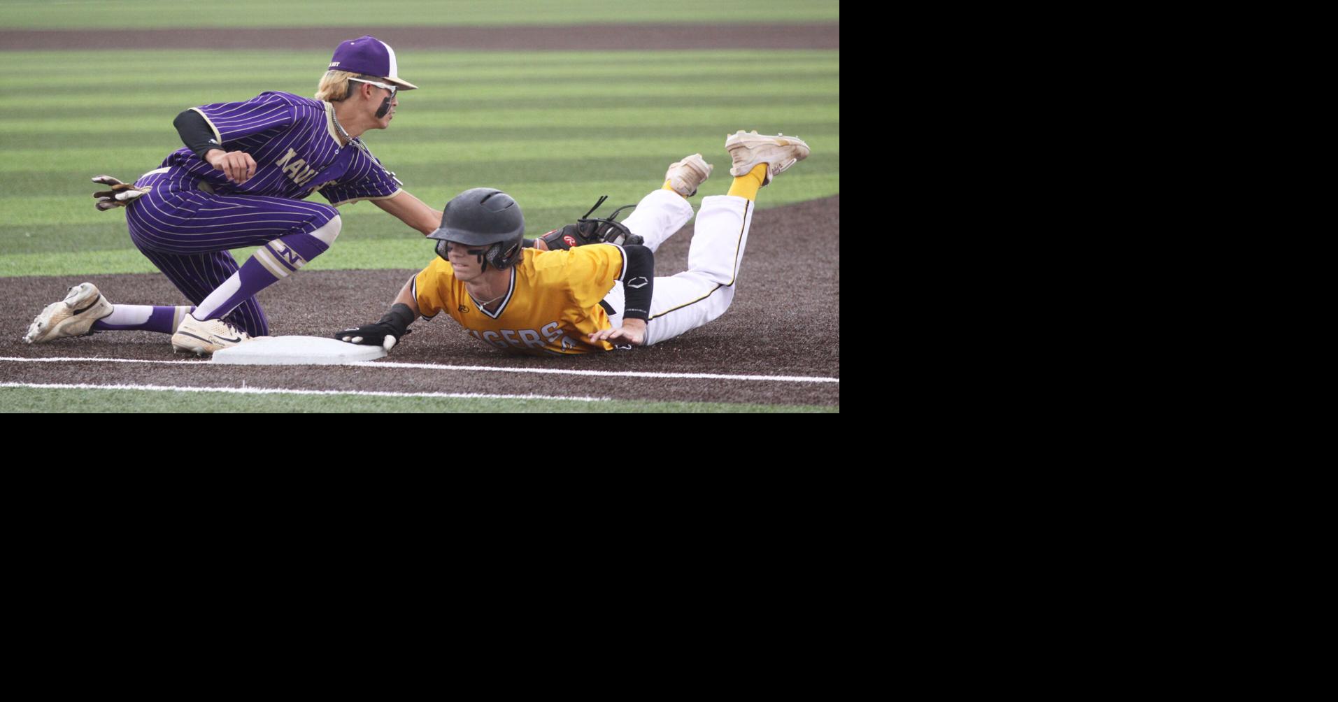 Panthers claw way to game-three win over Tigers | Sports ...
