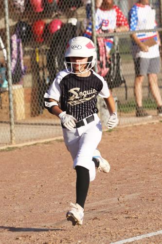 Seguin little league softball, baseball all-stars take home district ...