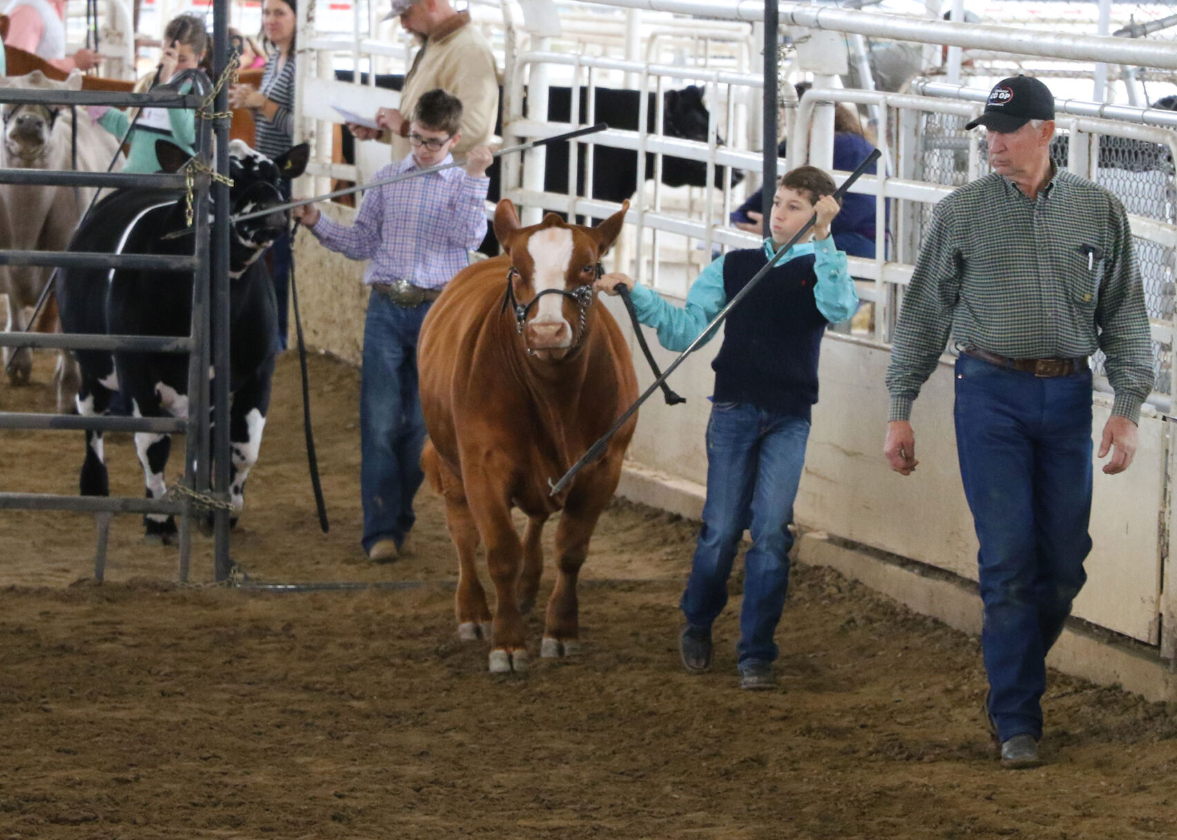 SHOWTIME: Youth display projects at Guadalupe County show | Multimedia ...