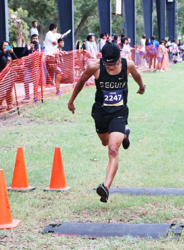 SHS cross country runner to hit track for TLU | Sports | seguingazette.com