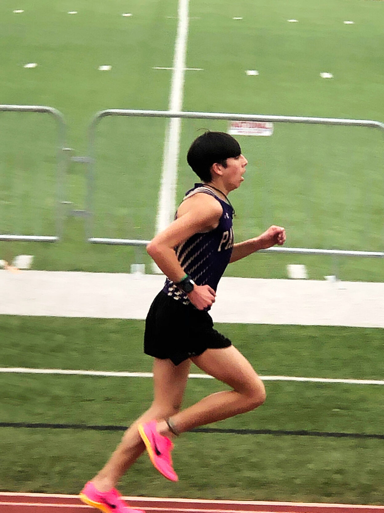 Panthers track, field athletes qualify for Area | Sports ...