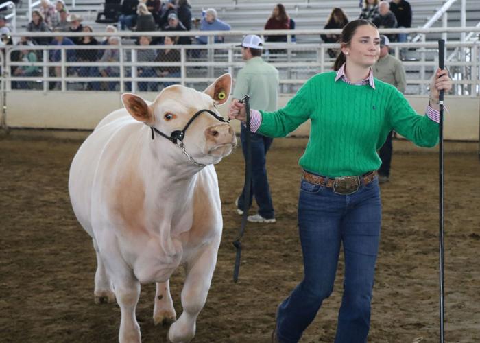 SHOWTIME: Youth display projects at Guadalupe County show | Multimedia ...