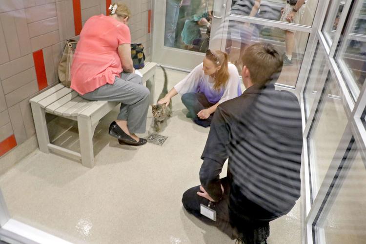 Seguin celebrates opening of new animal services shelter | News ...