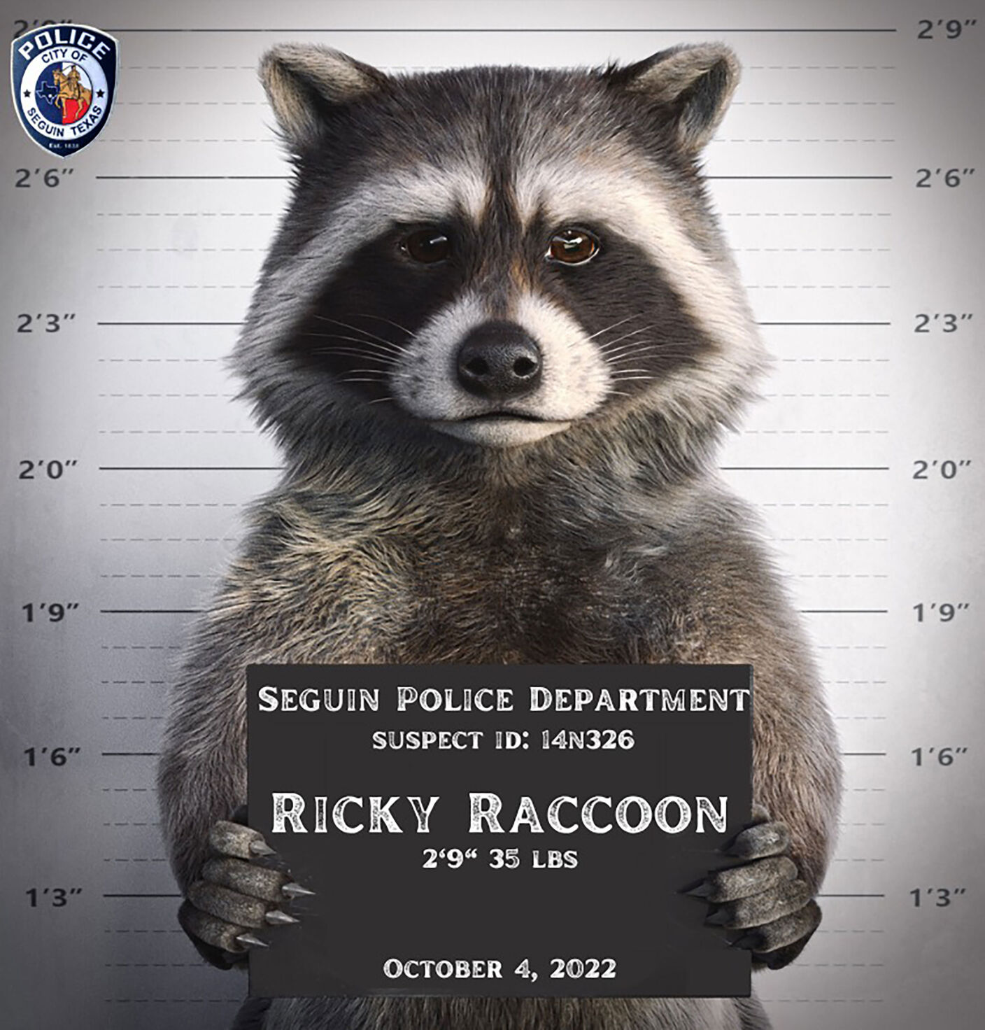 No. 9. Raccoons wreak havoc on city’s power grid, spark social media ...