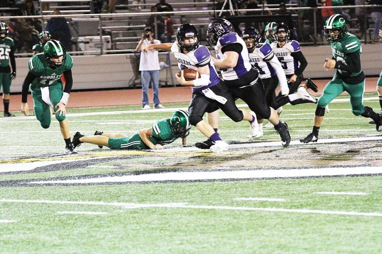 Navarro Panthers look to bounce back | Sports | seguingazette.com