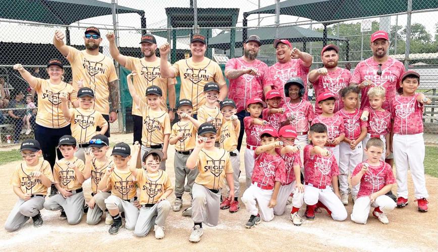 Little League City Champions | Sports | seguingazette.com