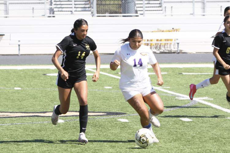 Lady Mats secure playoff berth after record setting season | Sports ...