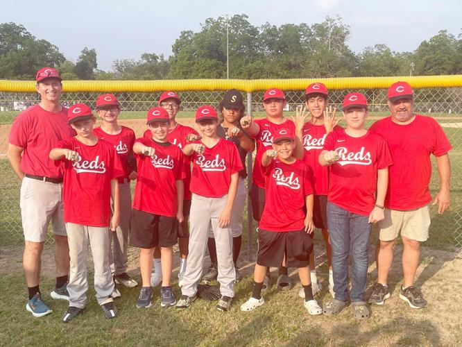 Little League City Champions | Sports | seguingazette.com
