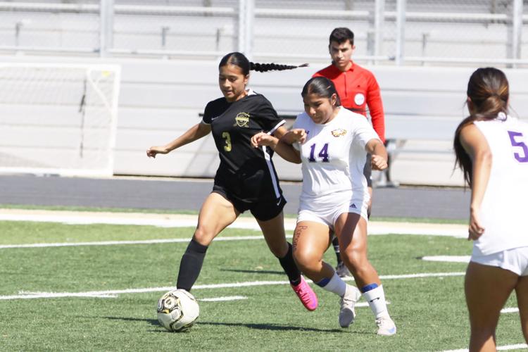 Lady Mats secure playoff berth after record setting season | Sports ...