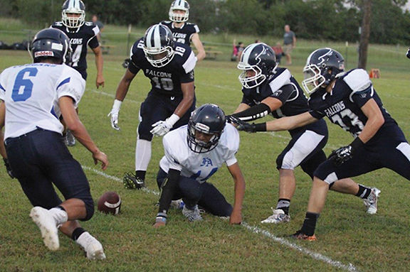 Lifegate Christian Falcons aiming for state crown after district title ...